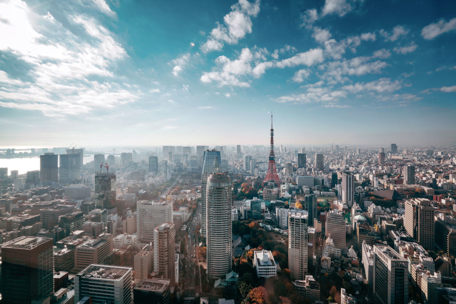 Tokyo | ART360°