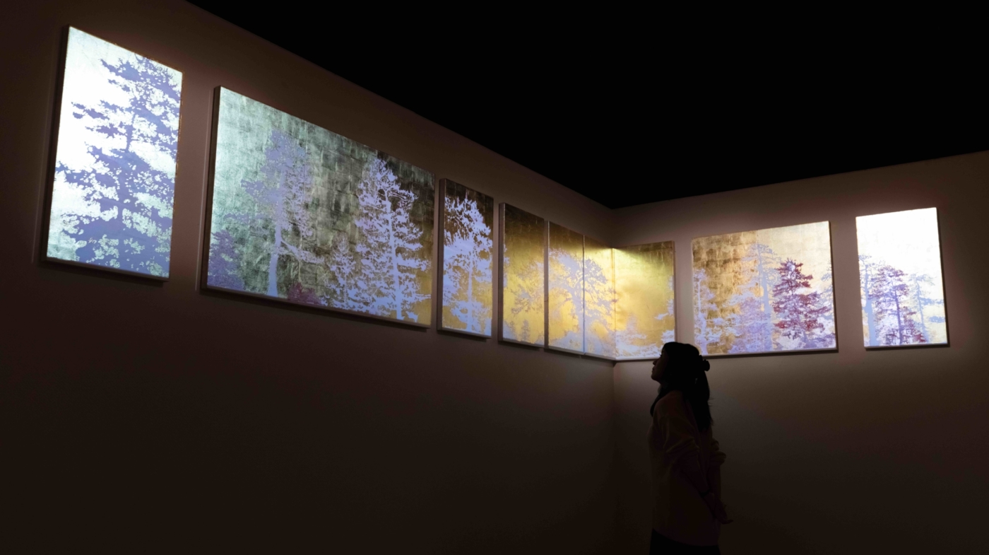 Masako Yasuki | ART360°