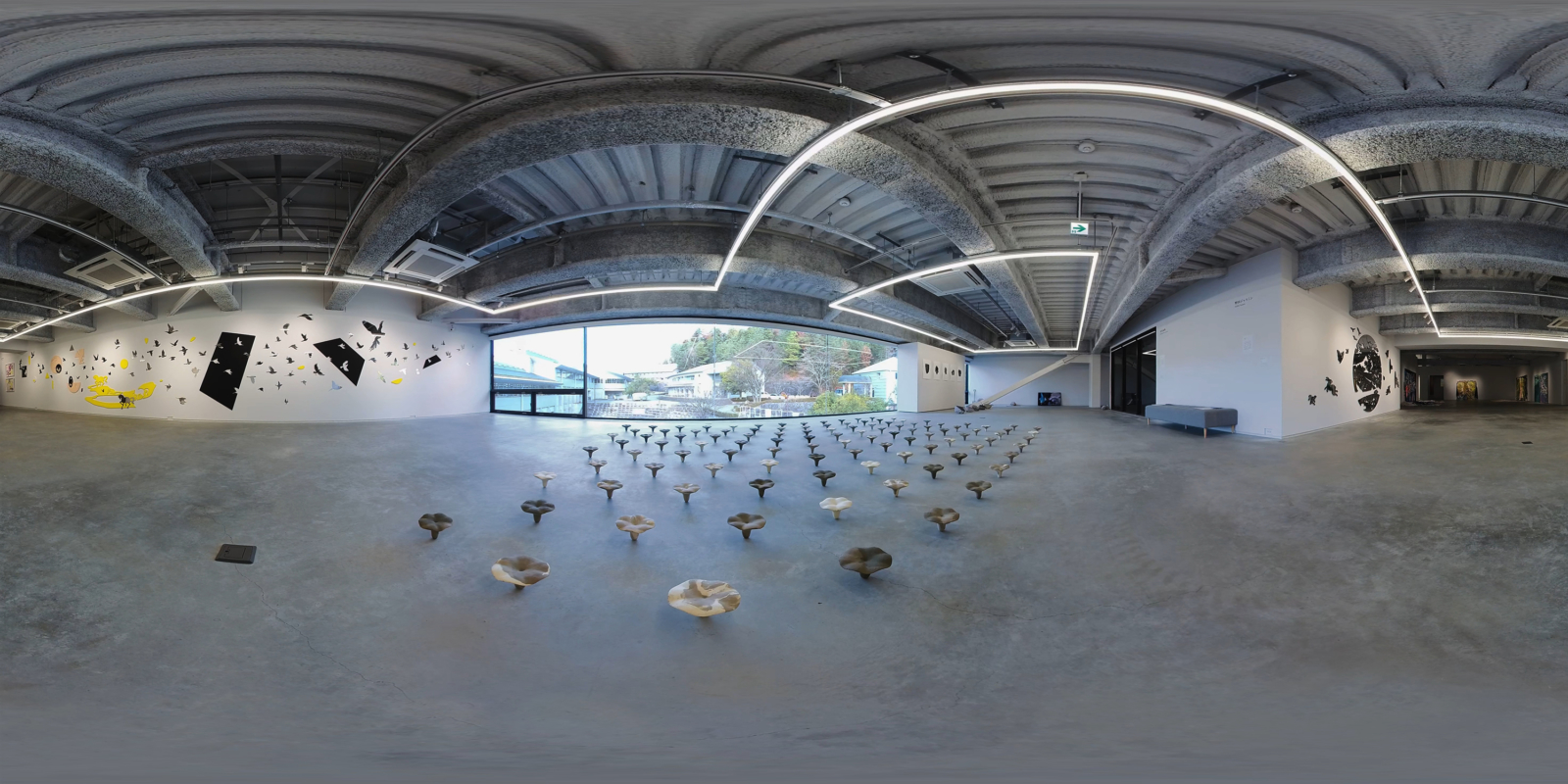 Seika Artist File #1「ゆらめくいきものたち」 | ART360°